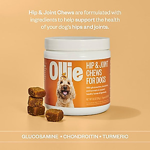 Ollie Zoomies Dog Hip and Joint Supplement - Glucosamine For Dogs - Glucosamine Chondroitin for Dogs - Joint Supplement For Dogs - Dog Joint Supplement - Hip and Joint Supplement Dogs - 60 Count Appx.