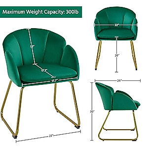 Yaheetech Velvet Dining Chair, Flower Shaped Armchair with Golden Legs, Upholstered Side Chair for Kitchen Dining Room Living Room, Set of 2, Green