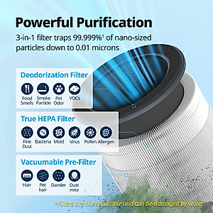 Coway Airmega 100 Air Purifier Replacement Filter Set, True HEPA and Deodorization Filter
