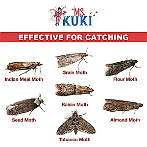 MS. KUKI Moth Traps for Pantry House Kitchen Larder Storeroom Home Indoor Cooking Cellar Buttery Storage Product Paper Cardboard Sticky Glue with Pheromones Prime No Clothes Closet Clothing (6 Pack)