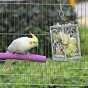 KINTOR Parrot Creative Foraging Toy Feeder Bird Cage, Big Size 4.8x3.6x2.6inch