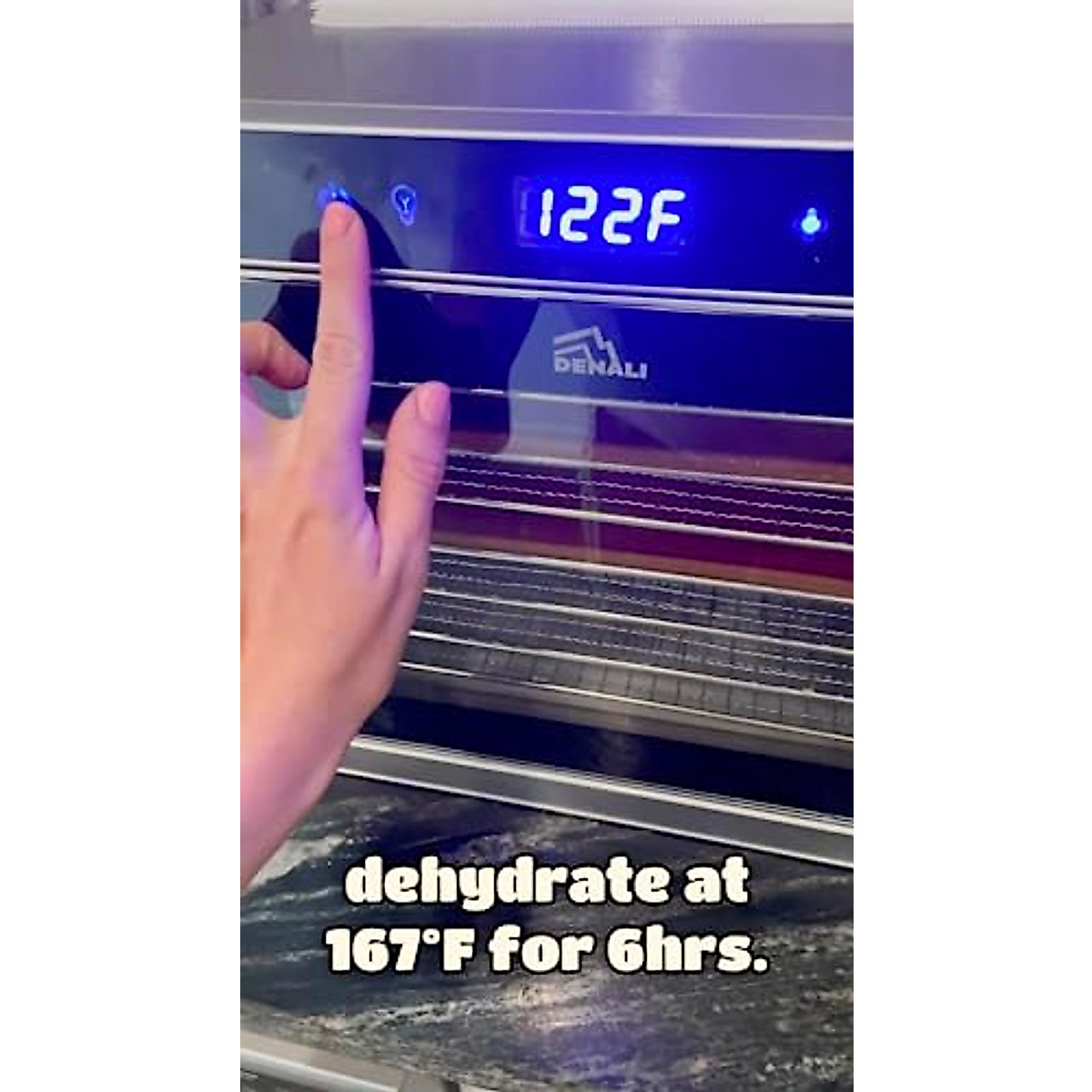 The BEAST by Denali | 8 Layer Stainless Steel Food Dehydrator | 100 Recipes & Full Instructions | Jerky, Fruit Leather, Veggies | Silver, LED Touch, Timer & Low-Noise Fan | Denali is a USA Company (BEAST Fruit Leather Mats (Brown, 4 Pack))