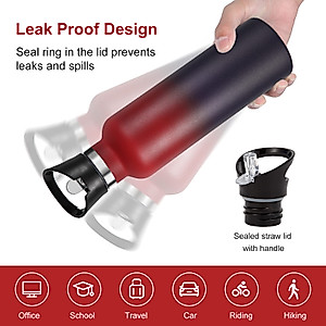 Neihepal 24oz Insulated Water Bottles Bulk 8 Pack,Stainless Steel Double Wall Sport Bottle with Straw Lid,Metal Cup Reusable Thermoses with Hand Cap for School,Cyclists,Hikers,Gift(Assorted,8 Count)