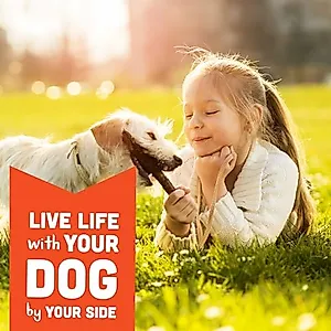 Cloud Star Wag More Bark Less Soft Chews Grain Free Dog Treats, Peanut Butter & Apples, 20 oz. Pouch