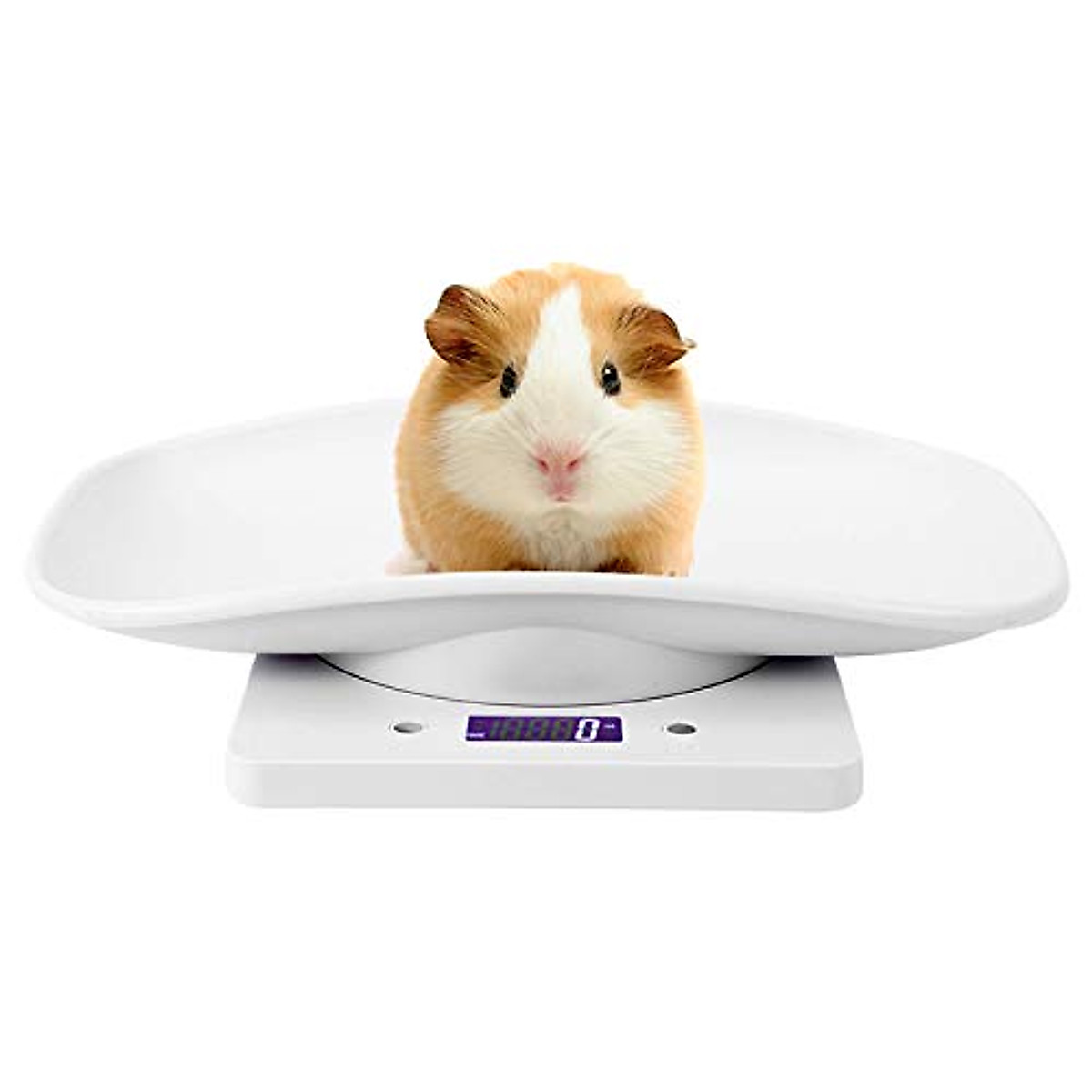 Digital Pet Scale, Animal Scales Platform Accurately Baby Weighing Tray Mini Precision Gram Weight Balance Multifunction LED Weights Tool Blue Backlight for Kitten Puppy Hamster Little Bird Toddler
