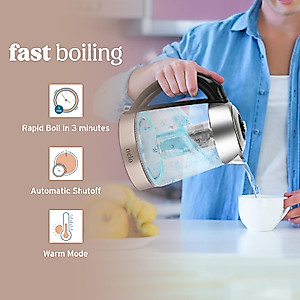 NELO Electric Kettle with Removable Tea Infuser, 7 Temperature Presets, Digital Display, LED Indicator Lights, Glass Tea Kettle & Hot Water Boiler, 360° Base, BPA-Free, Stainless Steel, 1.7 Liters