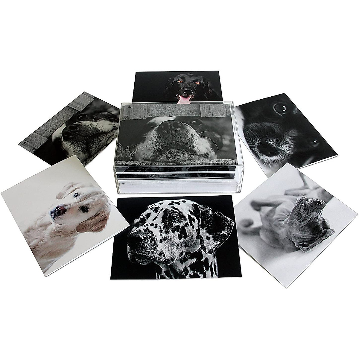 Small World Greetings Dog Note Cards 24 Count - Blank Inside with Envelopes - A2 Size 5.5" x 4.25" - All Occasions - Birthday, Thank You, and More