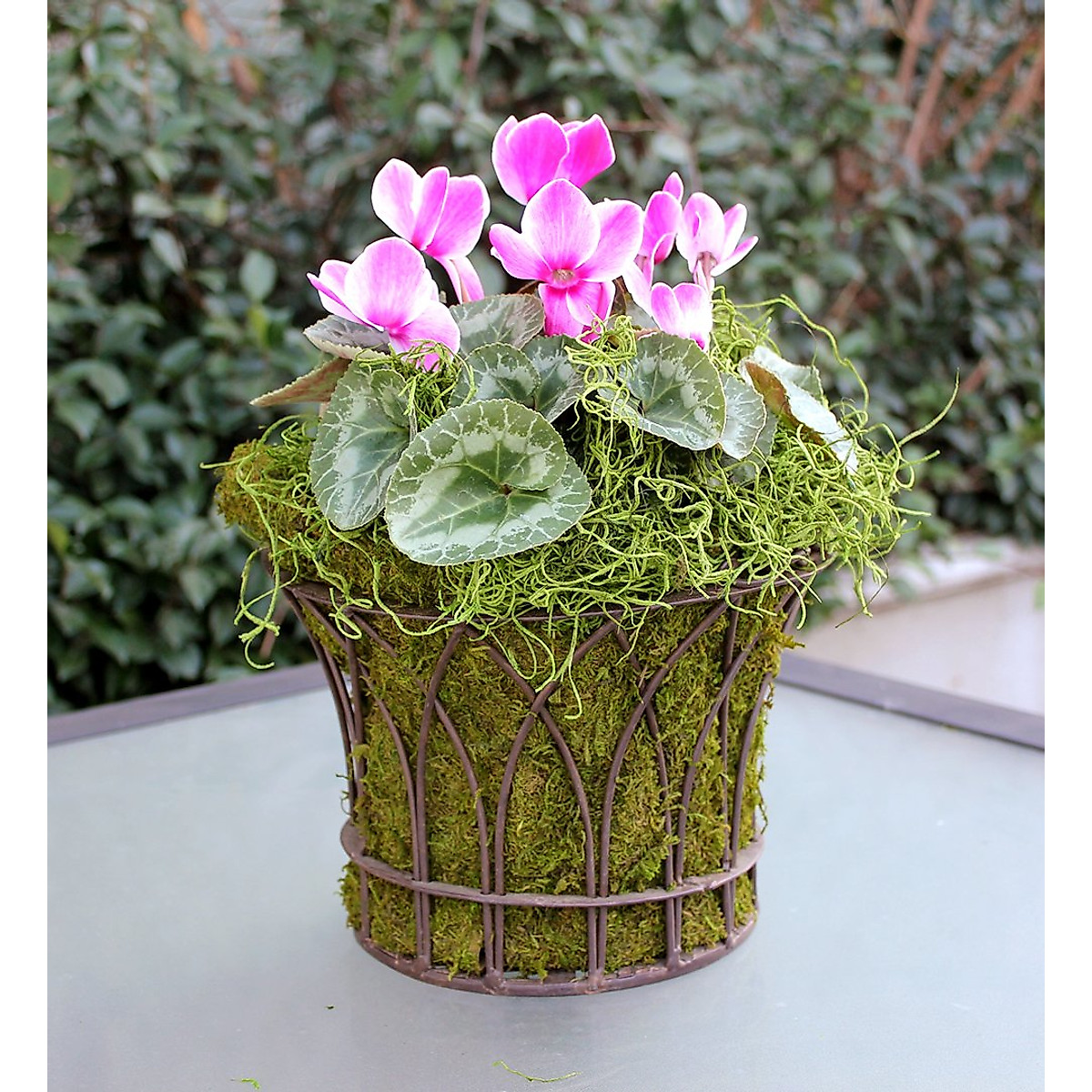 SuperMoss (26907) Spanish Moss Preserved, Grass, 4oz, 120 cubic in Bag (Appx. 4oz) (7 59834 26907 6)