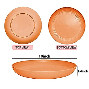 DAPIPIK 8 Pieces 10 Inch Wheat Straw Plates, Unbreakable Dinner Plates, Lightweight Straw Plates, Dishwasher & Microwave Safe, Perfect for Dinner Dishes, Healthy for Kids & Adult