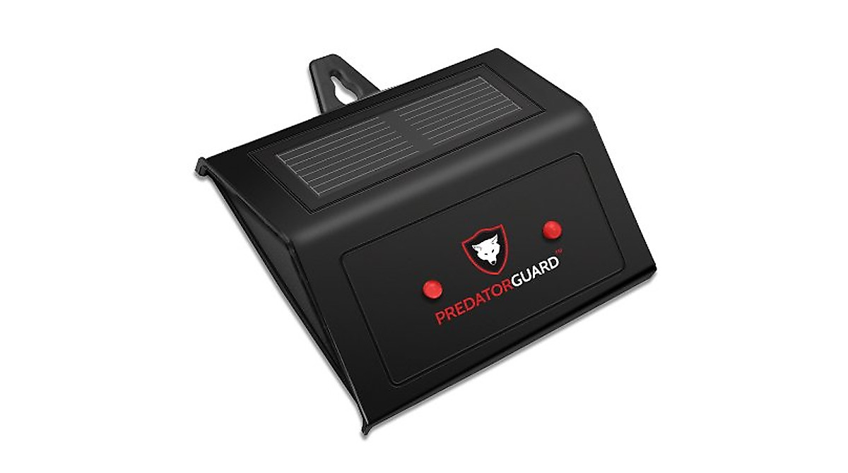 Solar Predator Deterrent Light for Safe Animal Protection | PREDATORGUARD