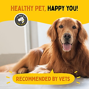 Dog Allergy Relief - Dog Allergy Chews Itch Relief, Seasonal Allergy Support for Itchy Skin, with Omega 3, Pumpkin & Probiotics (120 Soft Chews)