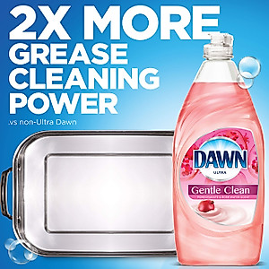 Dawn Gentle Clean Dishwashing Liquid Dish Soap Pomegranate Splash 24 oz (Pack of 2)