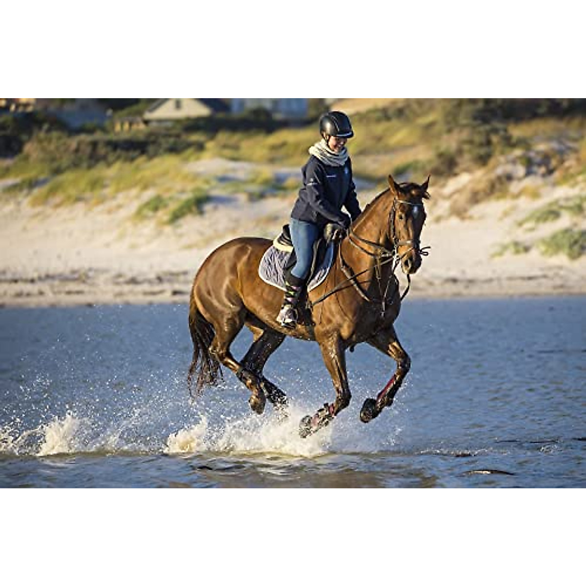 DOUBLE ACTION (Cooling and Warming Effect) Liniment Gel for Sore Muscles and Joints made with Camphor and Menthol for Horses. Effective Post Workout Recovery and Pre-Workout Leg and Spinal Care Rub