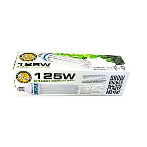 SunBlaster SL0900163 Full Spectrum CFL 6400K Self Ballasted Light Bulb for Indoor Grow Lamp and Hydroponic Systems with Mogul Socket, 125 Watts