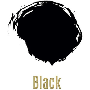 THE ONE Paint & Primer: Most Durable All-in-One Furniture Paint, Cabinet Paint, Front Door Paint, Wall Paint, Bathroom, Kitchen - Fast Drying Craft Paint Interior/Exterior (Black, Matte, 8.5oz)