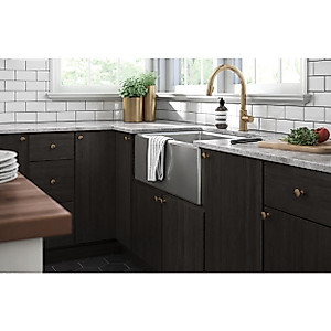 Franklin Brass Mushroom (10-Pack) Cabinet Knobs Champagne Bronze Drawer Knobs Kitchen Cabinet Knobs for Dresser Drawers Pulls and Knobs 1-3/16" Closet Door Gold Knobs P42354Z-CZ-B