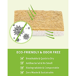 Biodegradable Natural Kitchen Sponge 12Pack, Compostable Cellulose and Coconut Walnut Scrubber Sponge