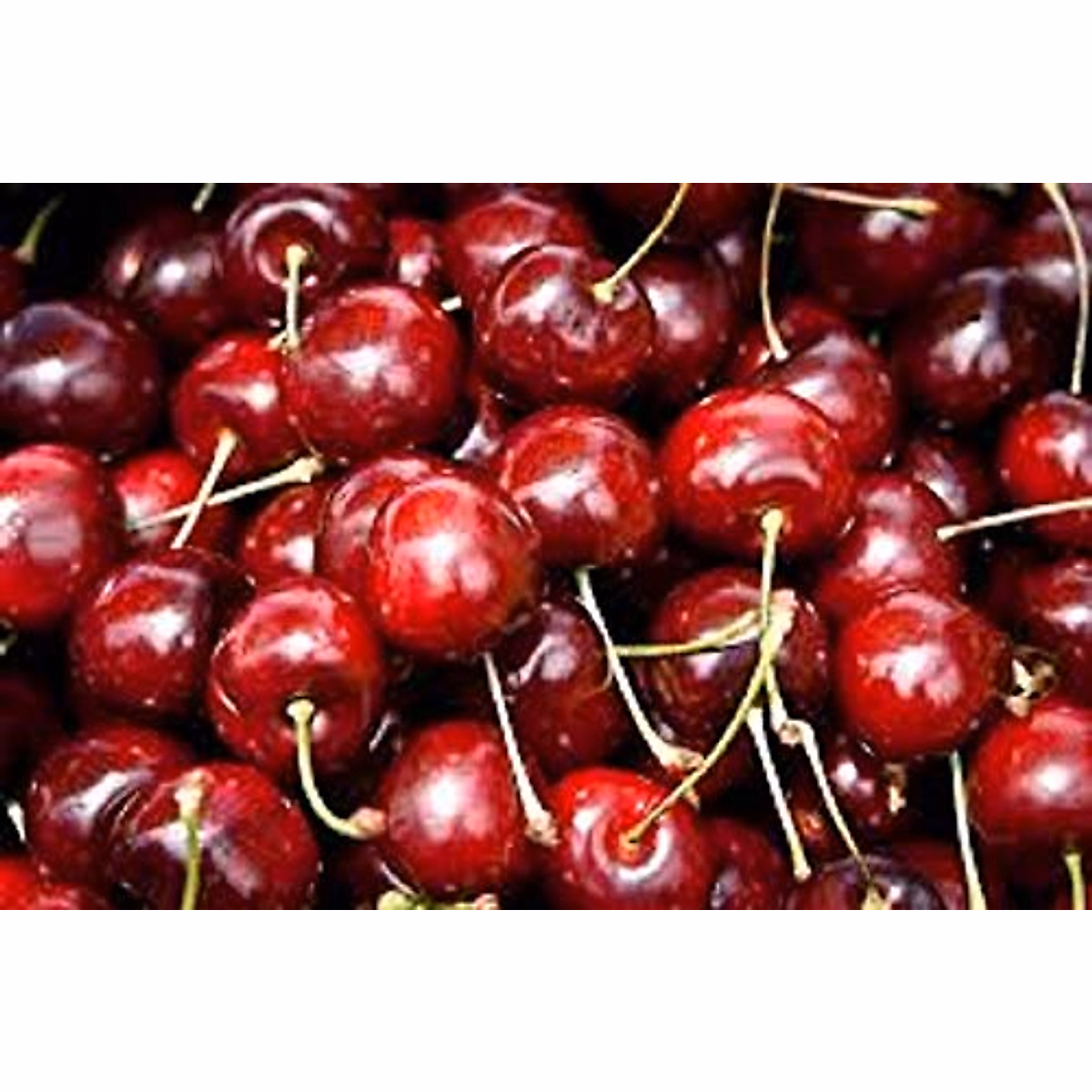 Harry & David Single Serve Coffee (Chocolate Cherry Decadence, 100 Count)