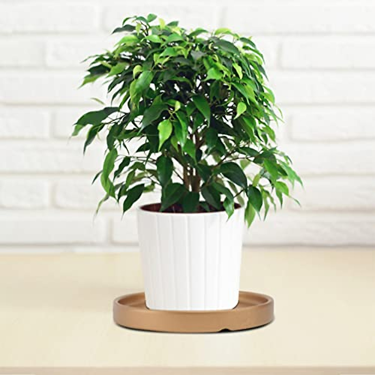 HANABASS Round Pallet Flowerpot Tray 2pcs Gardening Potted Plant Trays Cement Flowerpot Trays Flower Pot Mats Balcony Succulent Pot Trays for Home Kitchen Gold Flower Pot Saucer Bonsai Water Trays