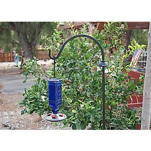 BugSnub Shepherd's Hook Ant Guard (1-Pack) - Hummingbird Moat Free Crawling Insect Protection