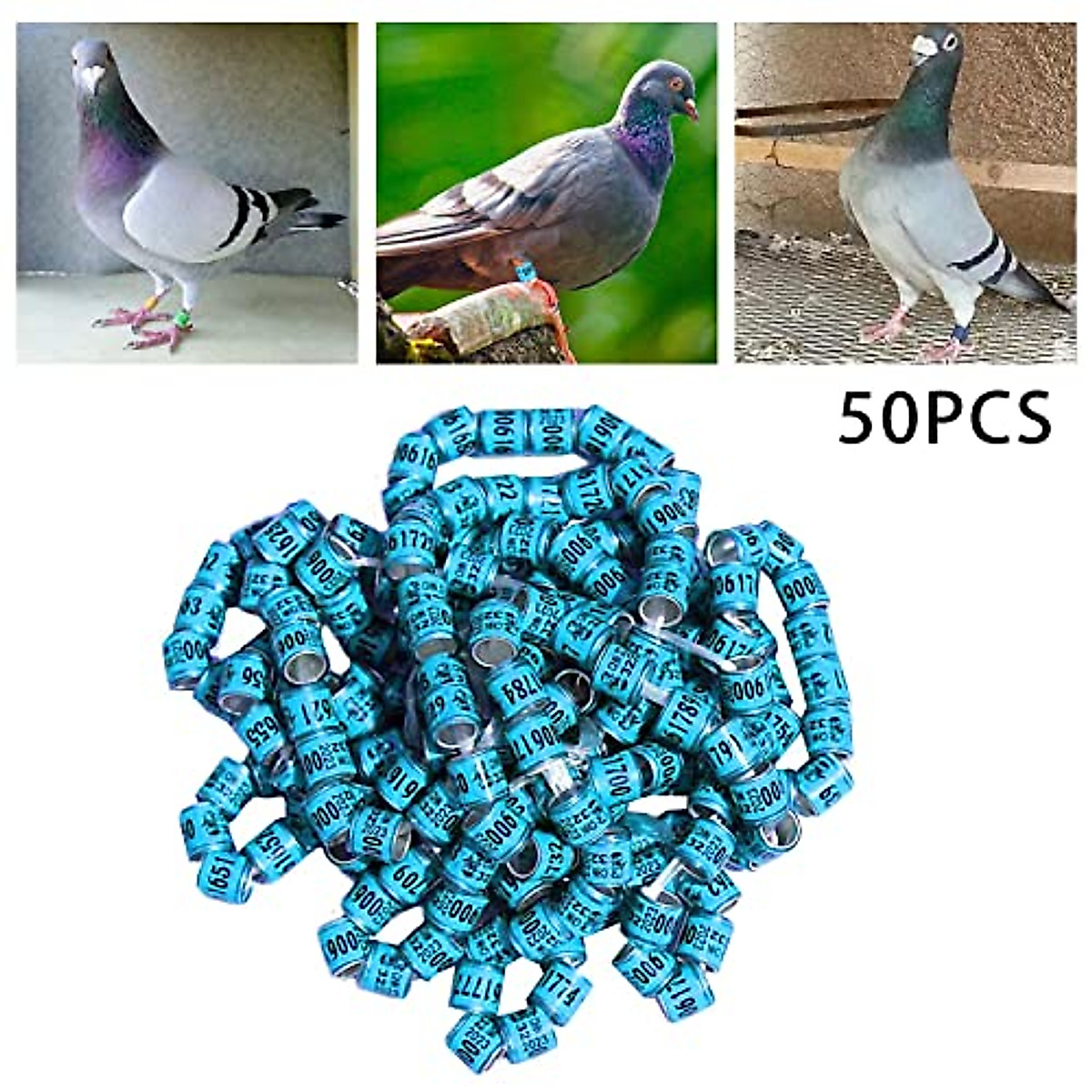 50pcs 8mm 2023 Pigeon Bands, Customized Bands for Pigeon Ring Birds Leg, Aluminum Bird Rings Leg Bands Ring Bands, Blue