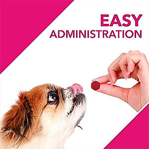 Drools Absolute Skin + Coat Tablet- Dog Supplement, 50 Piece for All Breed Sizes for Dogs Preservative-Free