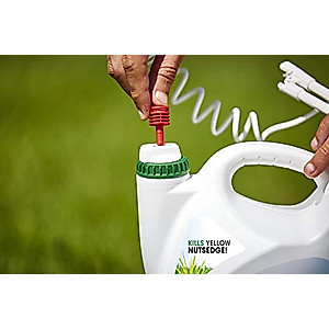 Roundup For Lawns1 Ready to Use - All-in-One Weed Killer for Lawns, Kills Weeds - Not the Lawn, One Solution for Crabgrass, Dandelions, Clover and Nutsedge, For Use on Northern Grasses, 1.33 gal.