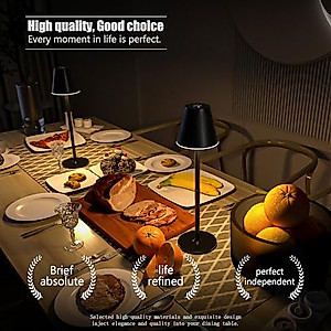 Timjorman Modern LED Cordless Table Lamp, 4000mAh Rechargeable Battery, 3 Level Brightness Night Light, Metal Shell, Minimalist Design, for Couples Dinner/Coffee Table/Restaurant/Bedroom, Black