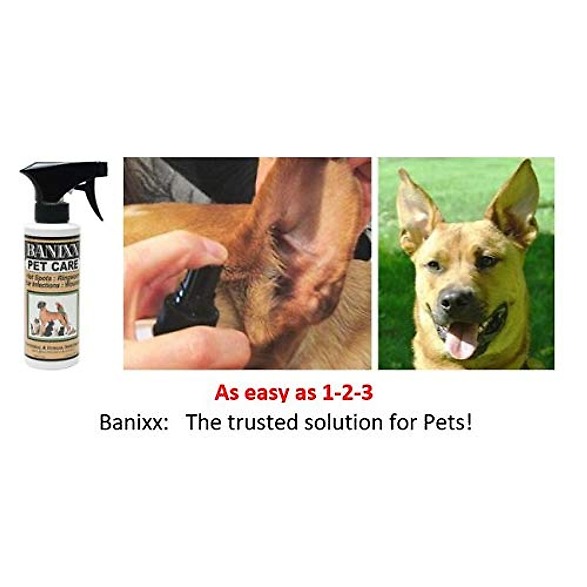Banixx Pet Care 8oz for Ear Infections, Hot Spots, Itchy Dry Skin, Ringworm, Yeast Infections. Safe Around The Eye.