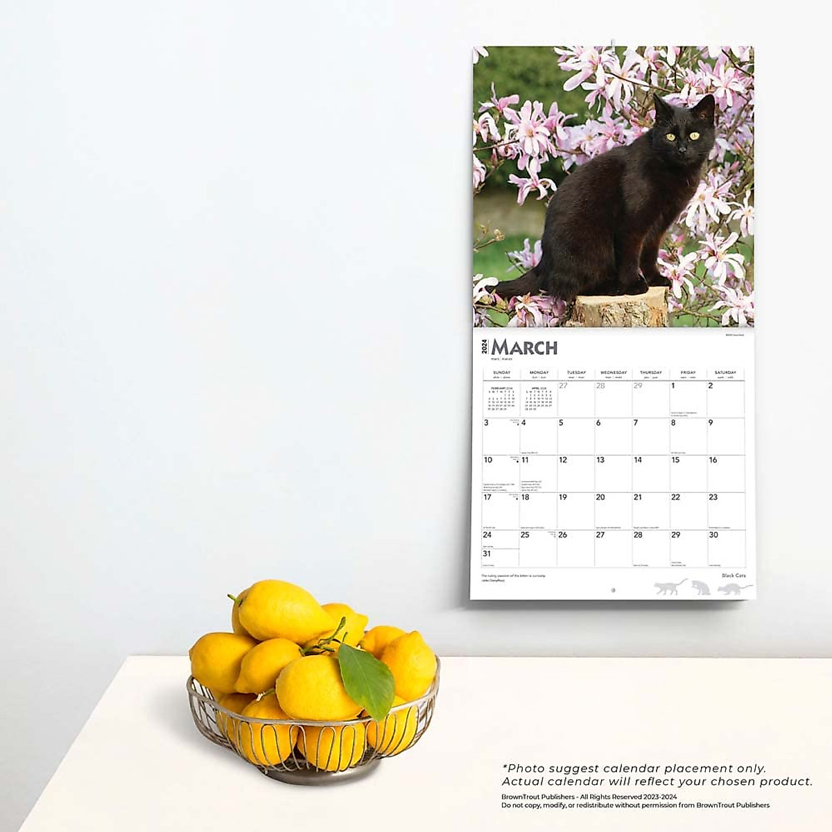 Black Cats | 2024 12 x 24 Inch Monthly Square Wall Calendar | Foil Stamped Cover | BrownTrout | Animals Kittens Feline