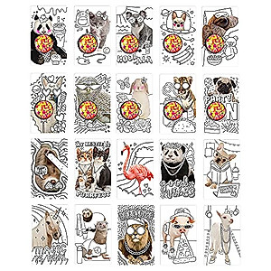 Fashion Angels Photo-real Panda Compact Sketch Portfolio, Sketch Book for Beginners, Animal Sketch Pad with Real Photos and Stickers For Kids 6 and Up