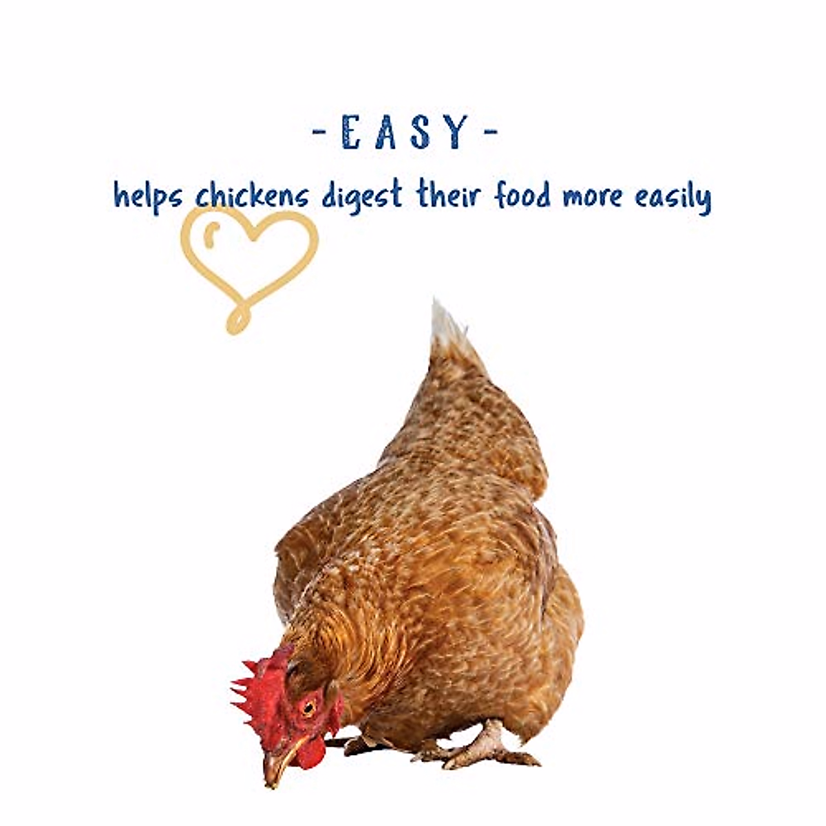 Manna Pro Poultry Grit with Probiotics | Insoluble Crushed Granite | 5 LB (Packaging May Vary)