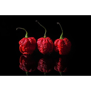 Bobby Courtyard Carolina Reaper Seeds | 200 Carolina Reaper Seeds for Planting | Non GMO Hottest Pepper Seeds