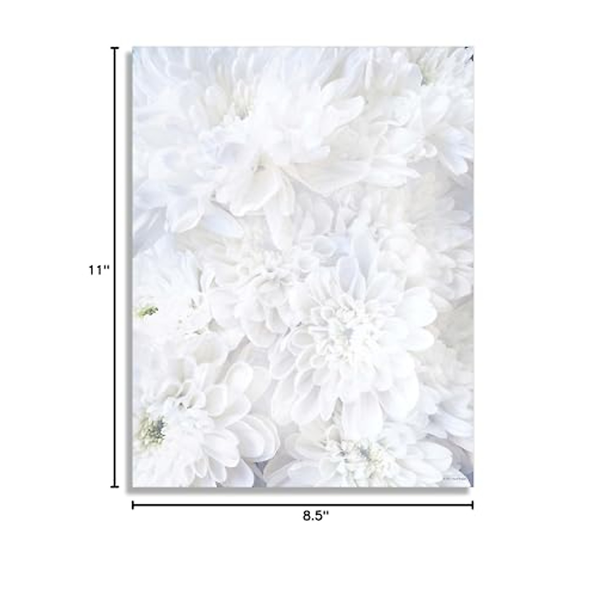 White Soft Petals Stationery Paper - 80 Sheets