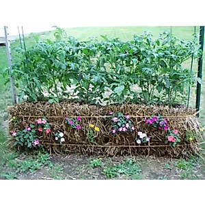 BaleBuster20 with Straw Bale Gardening Booklet!