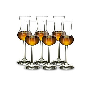 Grappa Glasses Stölzle Lausitz, set of 6, 87 ml, hand-blown appearance, dishwasher-safe, premium quality