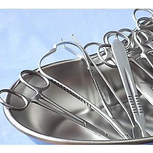 Bosky Stainless Steel Large Kidney Tray 10" inch Basin Finest Emesis Bowl SS 304 Round Edges Surgical Utility 600 cc
