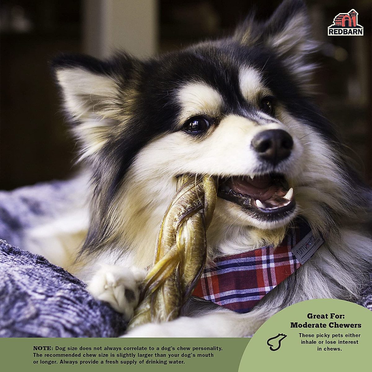 Redbarn Odor Free 7" Braided Bully Sticks for Dogs (1-Count)