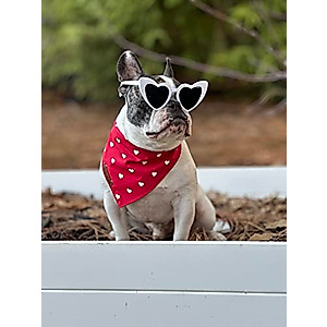 Sammy’s Sew Shop Red Heart Valentine's Day Dog Bandana – Red and White Heart Patterned Pet Bandana, Tie Back, Premium Cotton Fabric, Unique Design, Handmade in The USA, (Large)