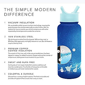 Simple Modern Disney Water Bottle with Straw Lid Vacuum Insulated Stainless Steel Metal Thermos | Reusable Leak Proof Flask for Gym, Travel, Sports | Summit Collection | 32oz Frozen Snowy Enchantment