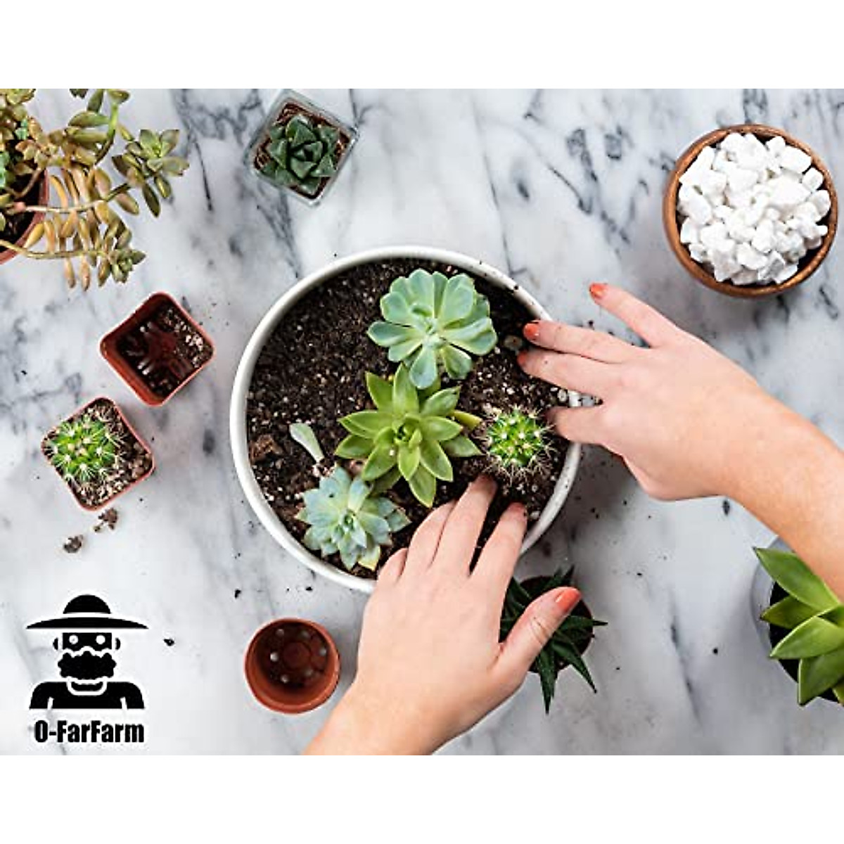 O-FarFarm Succulent Soil Potting Mix 2.2 LBS, Optimized PH Fast Draining with Added Nutrients, Perfect for Small Succulent Pots