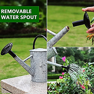 Garutom Galvanized Watering Can for Outdoor Plants, 1 Gallon Decorative Countryside Style Watering Can with Removable Spout, Perfect Metal Watering Can for Indoor Plants and Garden Flower