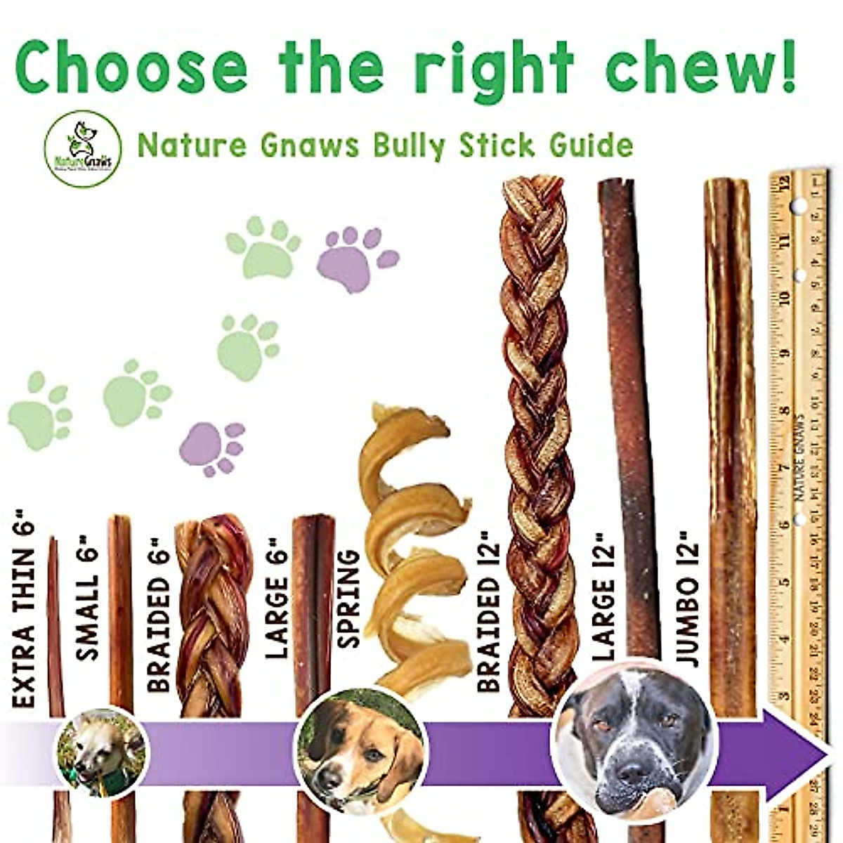 Nature Gnaws Braided Bully Sticks for Dogs - Premium Natural Beef Dental Bones - Long Lasting Dog Chew Treats for Aggressive Chewers - Rawhide Free 10 Count (Pack of 1)
