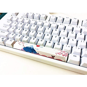 Mount Fuji Pink Sakura 6.25u Spacebar Keycap 2.75x Shift R4/ESC PBT Keyset Dye-Sublimation Artisan Switch OEM Profile for Cherry RGB MX Mechanical Gaming Keyboards (6.25x Spacebar Keycap)