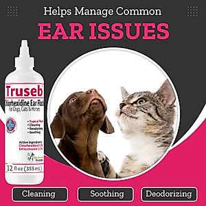 All Natural Ear Flush for Dogs & Cats, Ketoconazole & Chlorhexidine Ear Flush and Vet-Strength Ear wash with a Light Scent (USA) (Ketoconazole & Chlorhexidine Ear Flush, 12 oz)