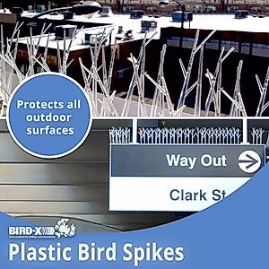 Bird-X Plastic Polycarbonate Bird Spikes, Covers 50 feet