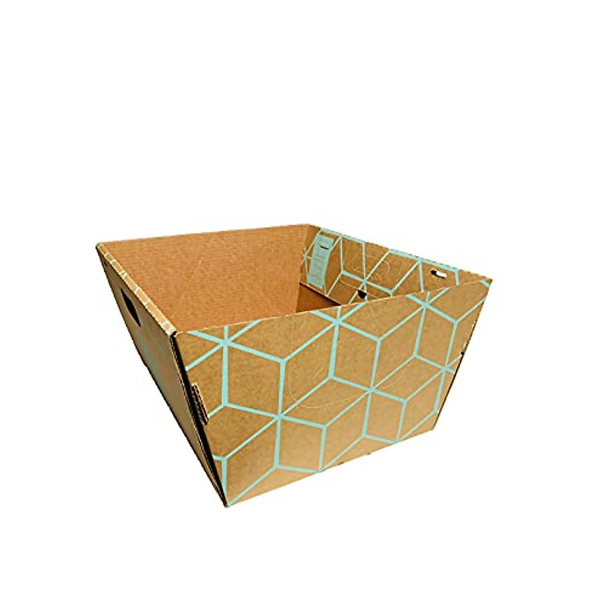 Cats Desire Disposable Litter Boxes 10 Trays-8.5 inches Tall Each Tray