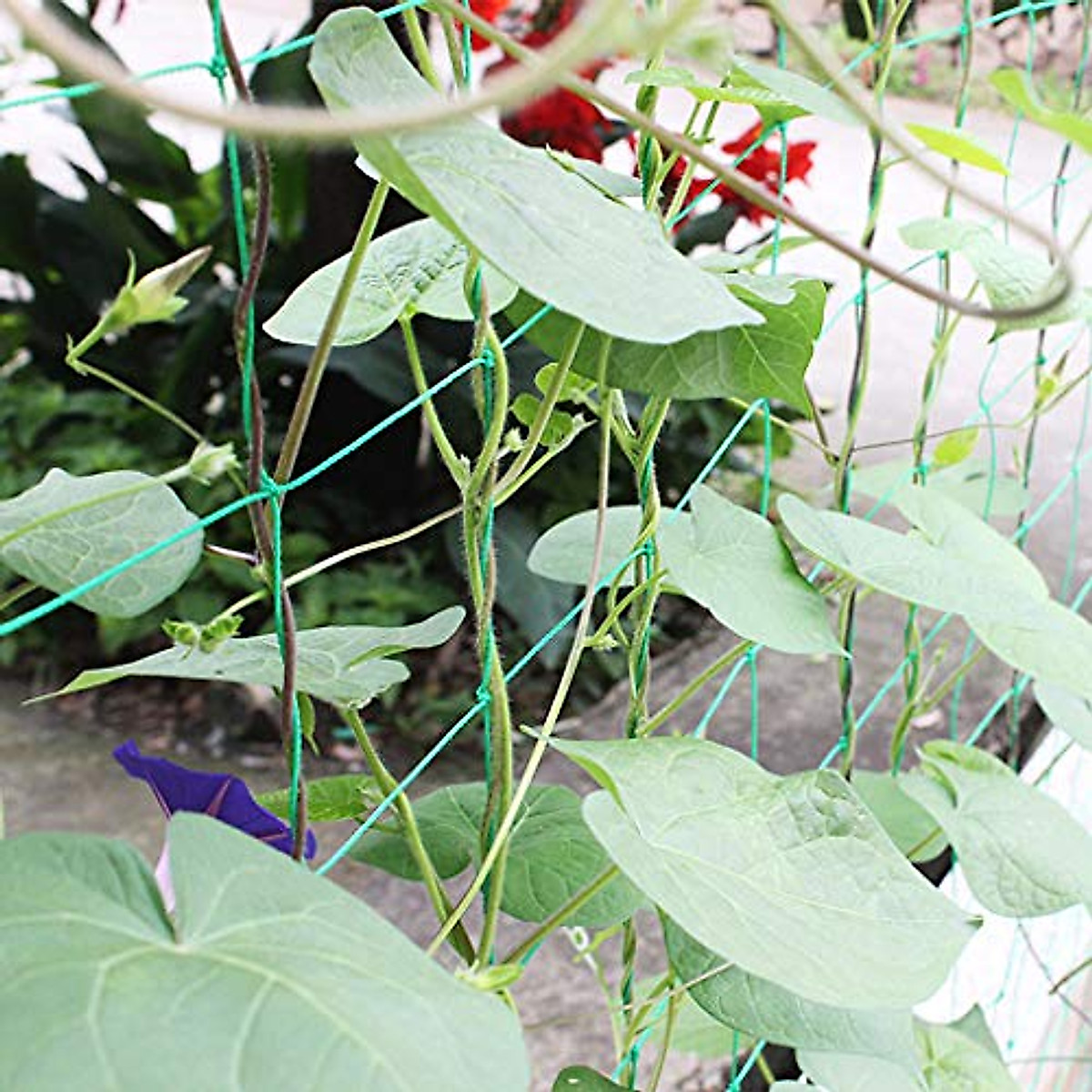 ZERIRA 2 Pack Plant Trellis Netting Plant Support Climbing Net Nylon Trellis Netting Garden Netting for Plants Cucumbers, Flowers Vine, Vegetables (5.9Ft x 8.86Ft)