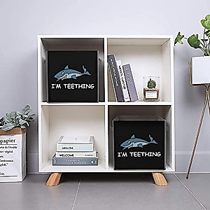 Teething Shark Canvas Collapsible Storage Bins Cube Organizer Baskets with Handles for Home Office Car