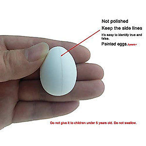 Huwaimi 13g Solid Plastic Eggs Dummy Eggs for Racing Pigeons (White 10pcs)
